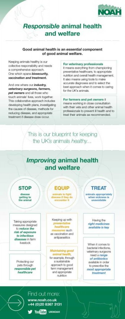 NOAH launches three-step blueprint for animal health and welfare ...