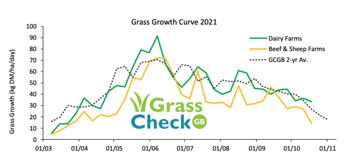 Spring turnout and best practice grass production | OvertheCounter