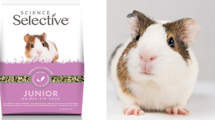 Supreme adds junior guinea pig food to Science Selective brand ...