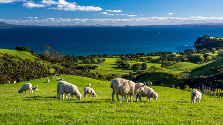 NSA calls out former Defra representative for incorrect and damaging ...