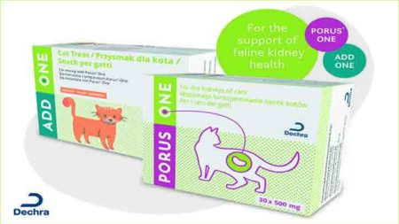 Dechra takes on distribution of Porus One and Add One | OvertheCounter