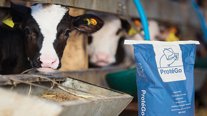Mole Valley Farmers launches ‘breakthrough’ calf formula | OvertheCounter