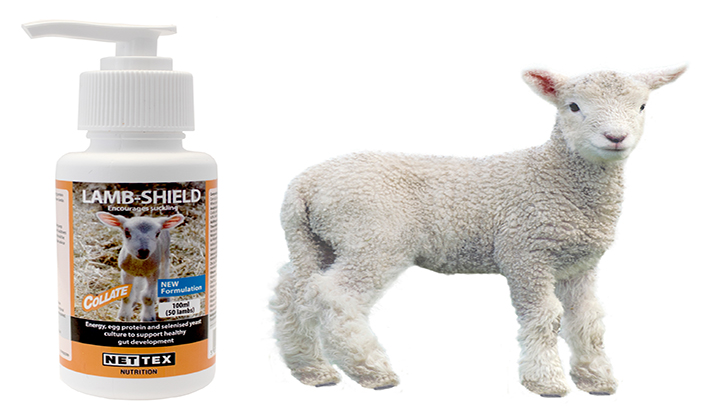 Give newborn lambs a nutritional boost with Lamb Shield | OvertheCounter