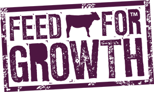 Feed quality milk protein to heifer calves | OvertheCounter