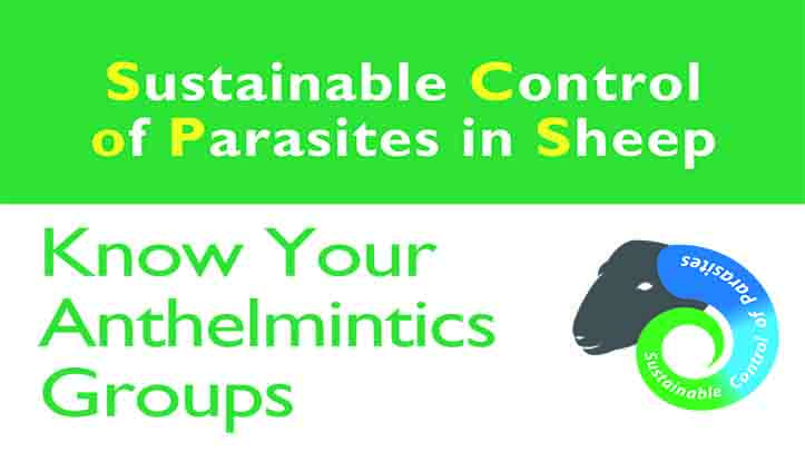 SCOPS updates widely-used tool for sheep producers | OvertheCounter