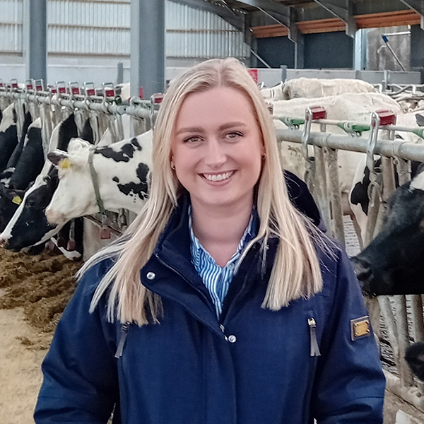 Supporting dairy cow gut health key to productivity and profitability ...