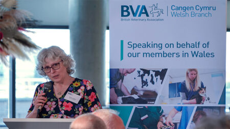 BVA continues to call for vet practice regulation in Wales | OvertheCounter