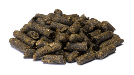 Good reasons to include sugar beet feed in your equine ration ...