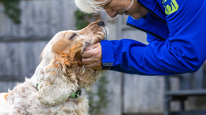 RSPCA launches new Animal Welfare Evidence Centre | OvertheCounter