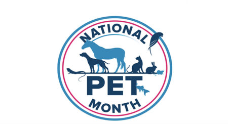 National Pet Month 2026 gets underway | OvertheCounter